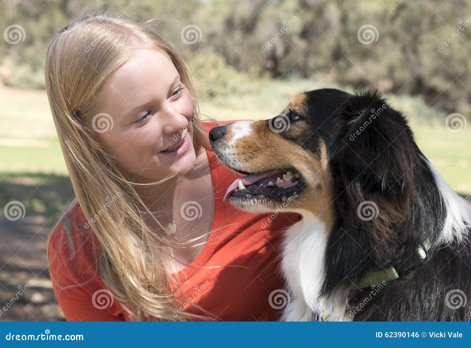 YOung Woman and Her Dog stock photo. Image of woman, love - 62390146