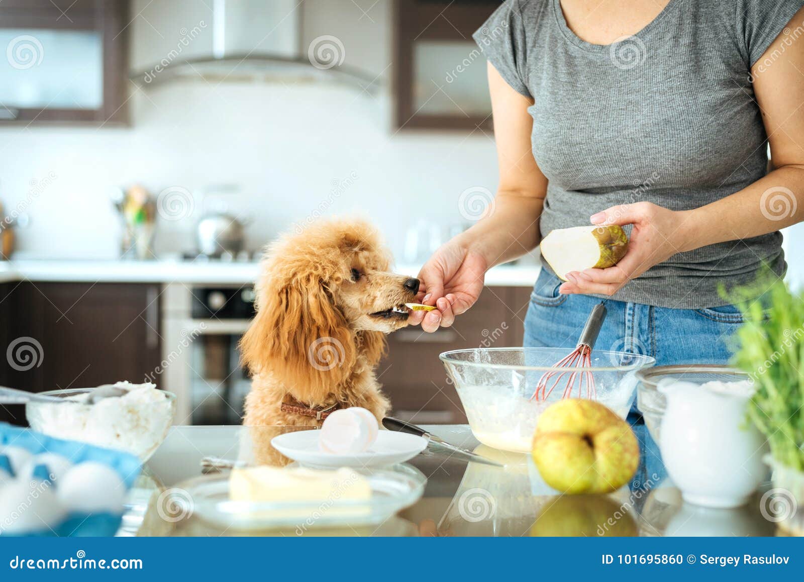 Young Woman with Her Dog is Cooking on the Kitchen . Stock Photo ...