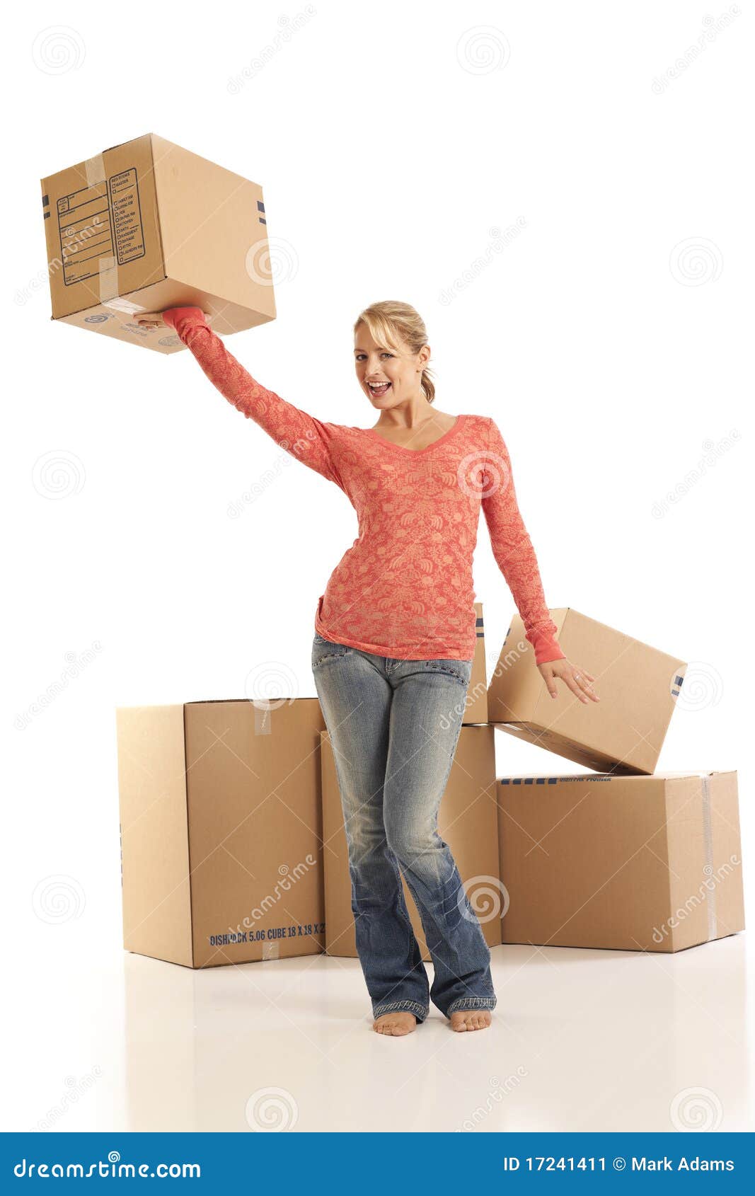 Young Woman Holding Cardboard Box Stock Image - Image of domestic ...