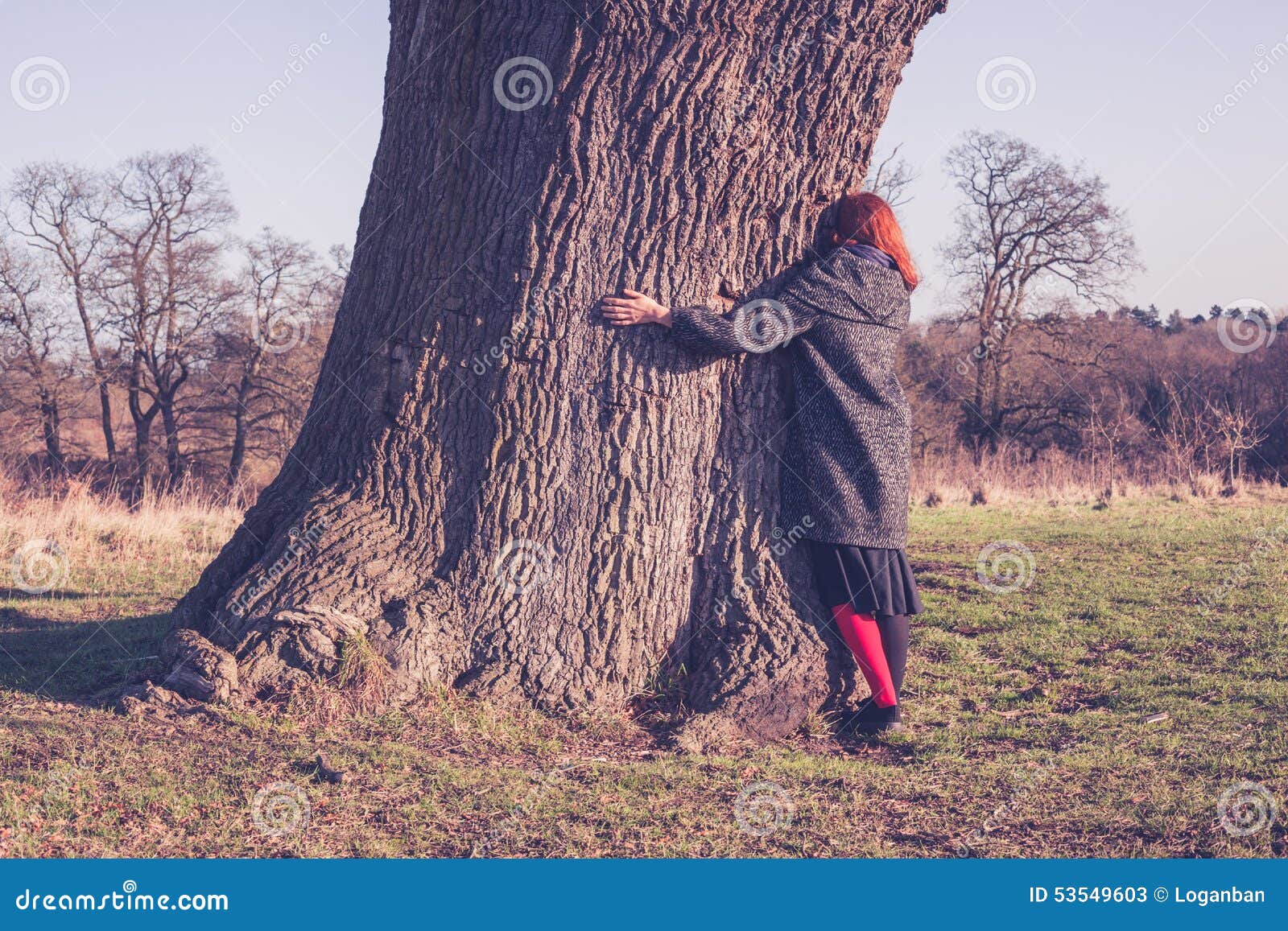 Young Woman Hugging a Big Tree in Winter Stock Image - Image of alone ...