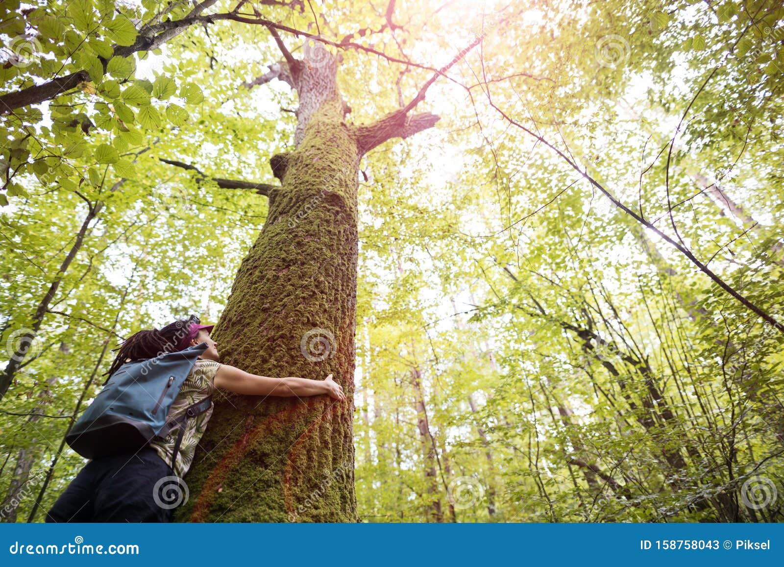 Woman Hugging Tree in Forest Stock Image - Image of climate ...