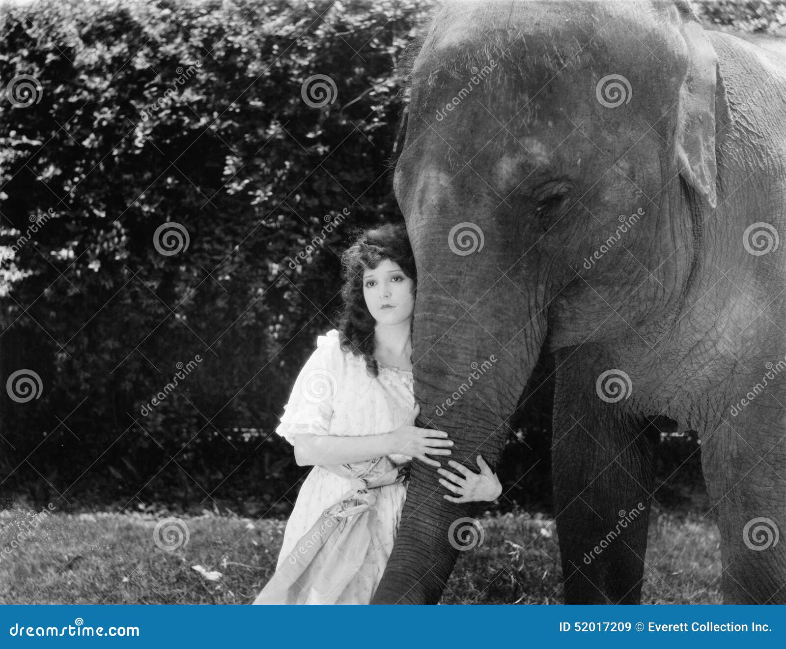 Young Woman Hugging the Trunk of an Elephant Stock Image - Image of ...