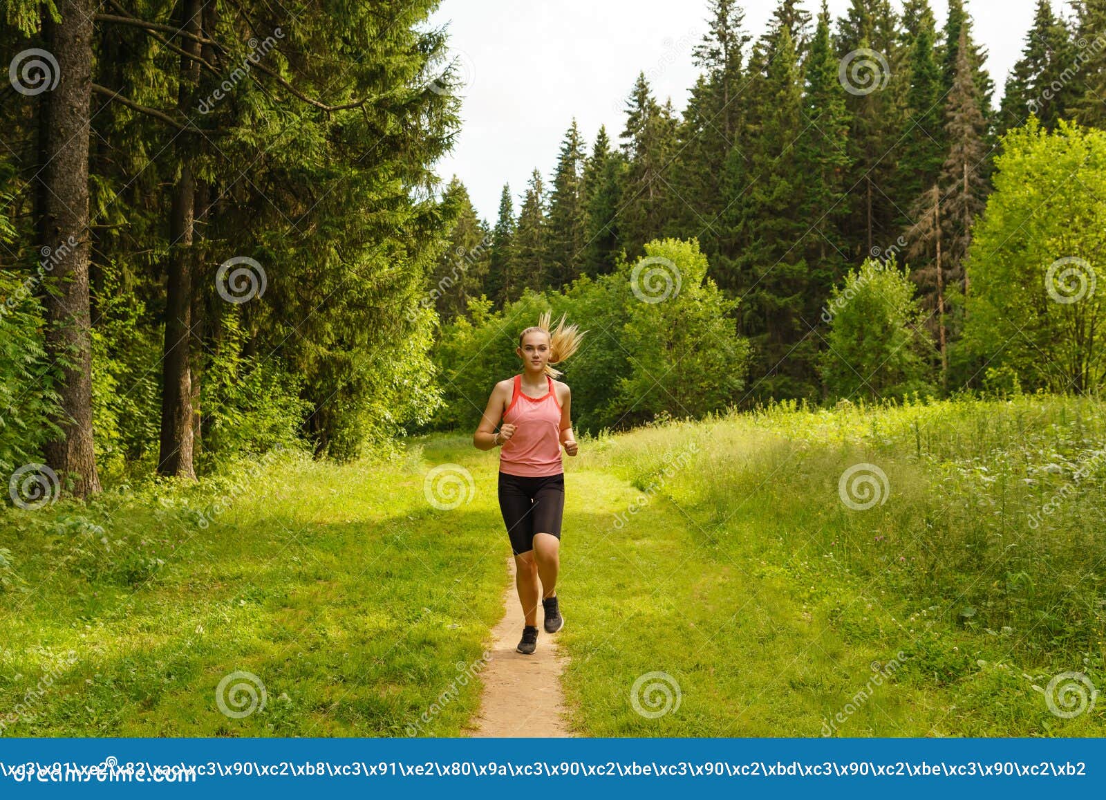 Young Woman Jogging in the Forest Stock Image - Image of path ...