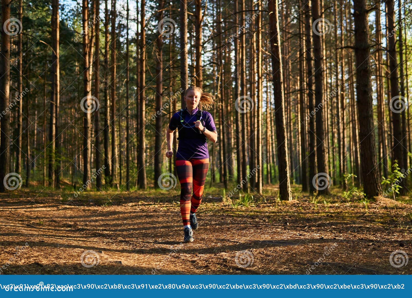 Young Woman Jogging in a Pine Forest Stock Photo - Image of sports ...