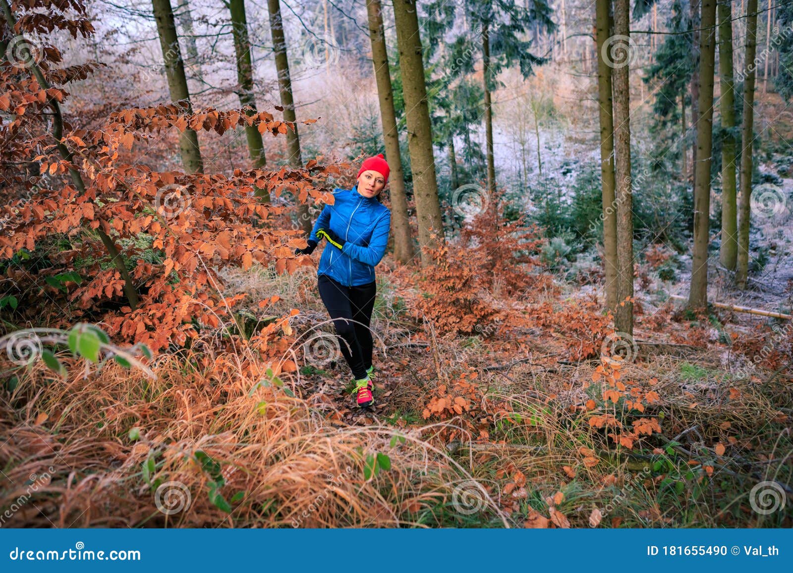 Running in the Wintry Forest Stock Photo - Image of competition ...