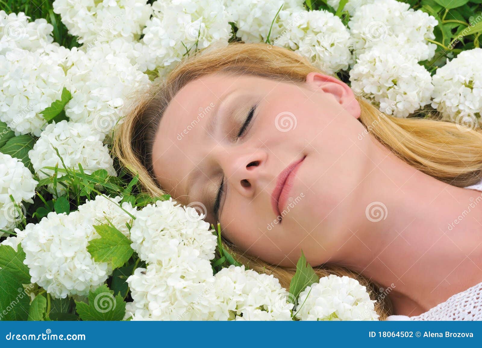 Young Woman Laying in Flowers Stock Photo - Image of green, growing ...