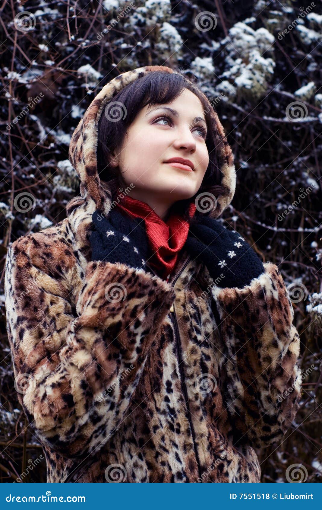 Young Woman in Leopard Fur Coat Looking Up Stock Photo - Image of ...