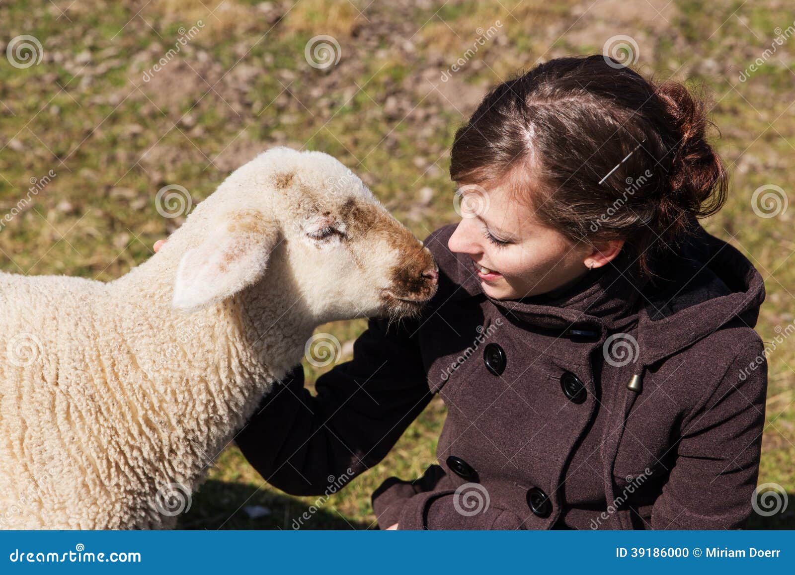 Young Woman and Little Lamb Looking at Each Other Stock Photo - Image ...