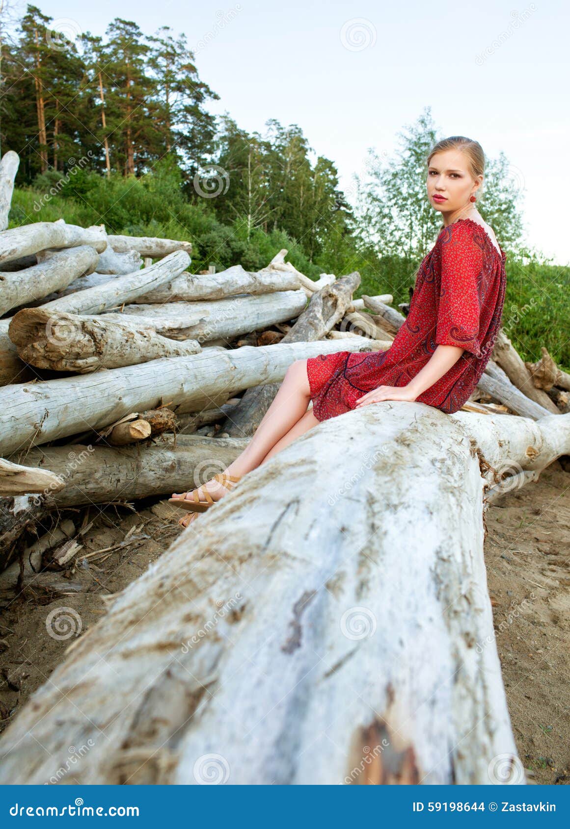 Young Woman on Logs in the Forest Stock Photo - Image of glamour ...