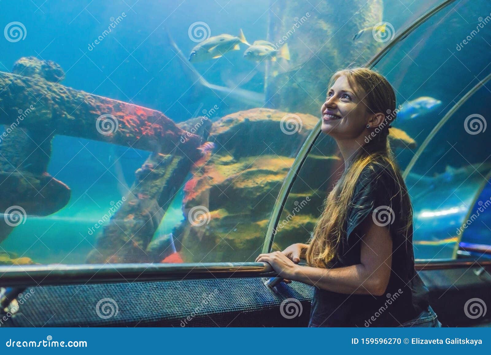 Young Woman Looking at Fish in a Tunnel Aquarium Stock Photo - Image of ...