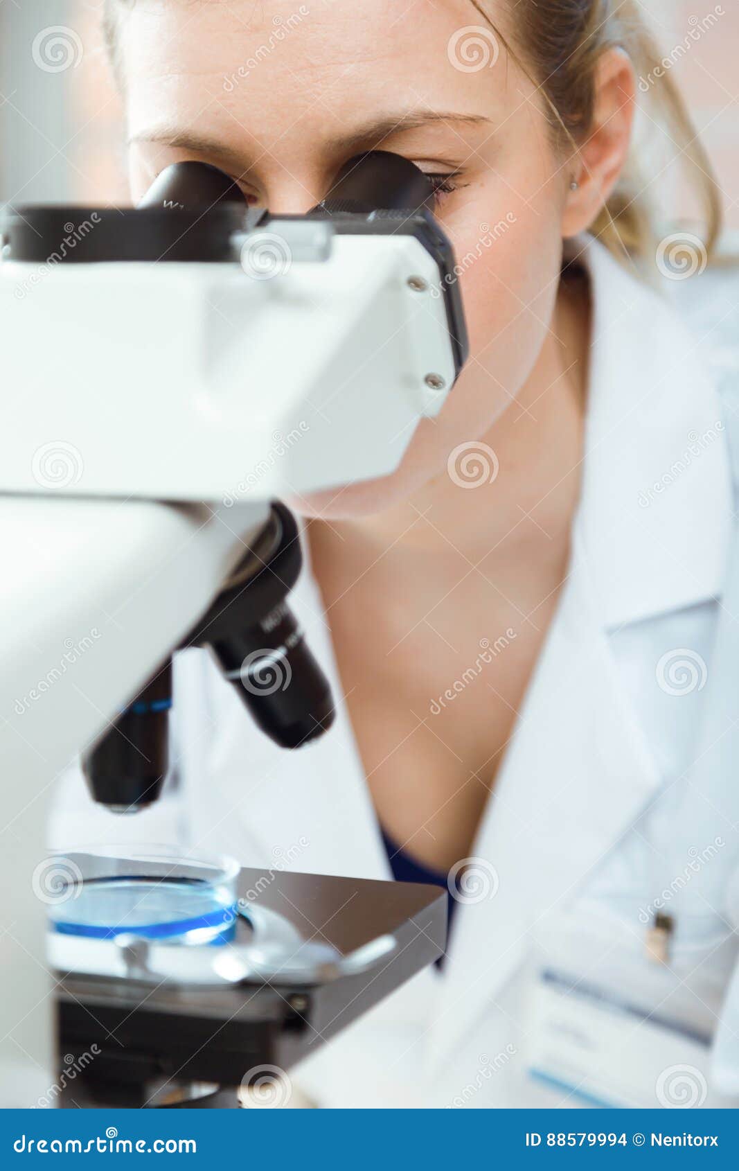 Young Woman Looking through Microscope in Laboratory. Stock Photo ...