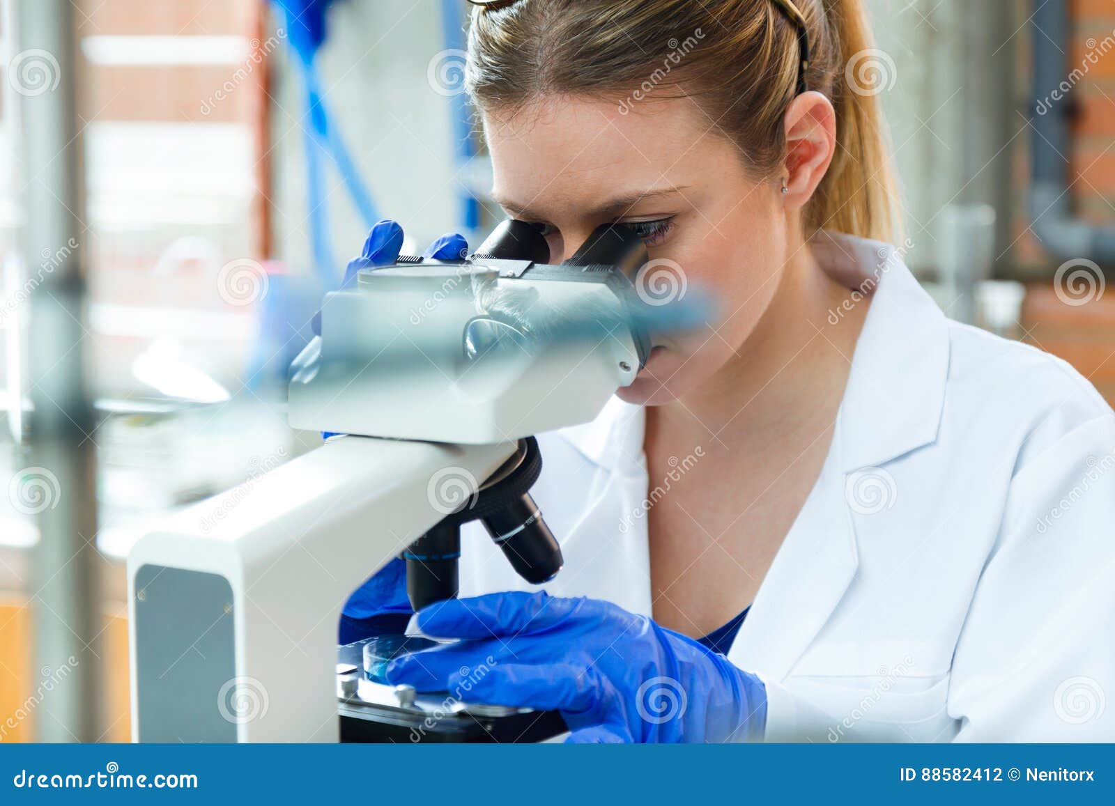 Young Woman Looking through Microscope in Laboratory. Stock Photo ...