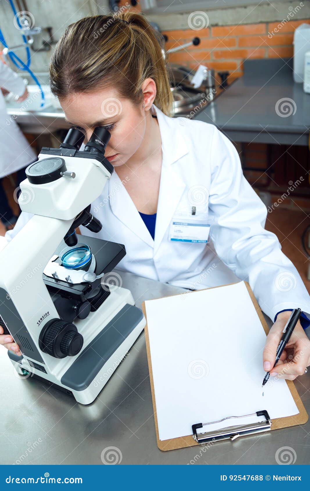 Young Woman Looking through Microscope in Laboratory. Stock Photo ...