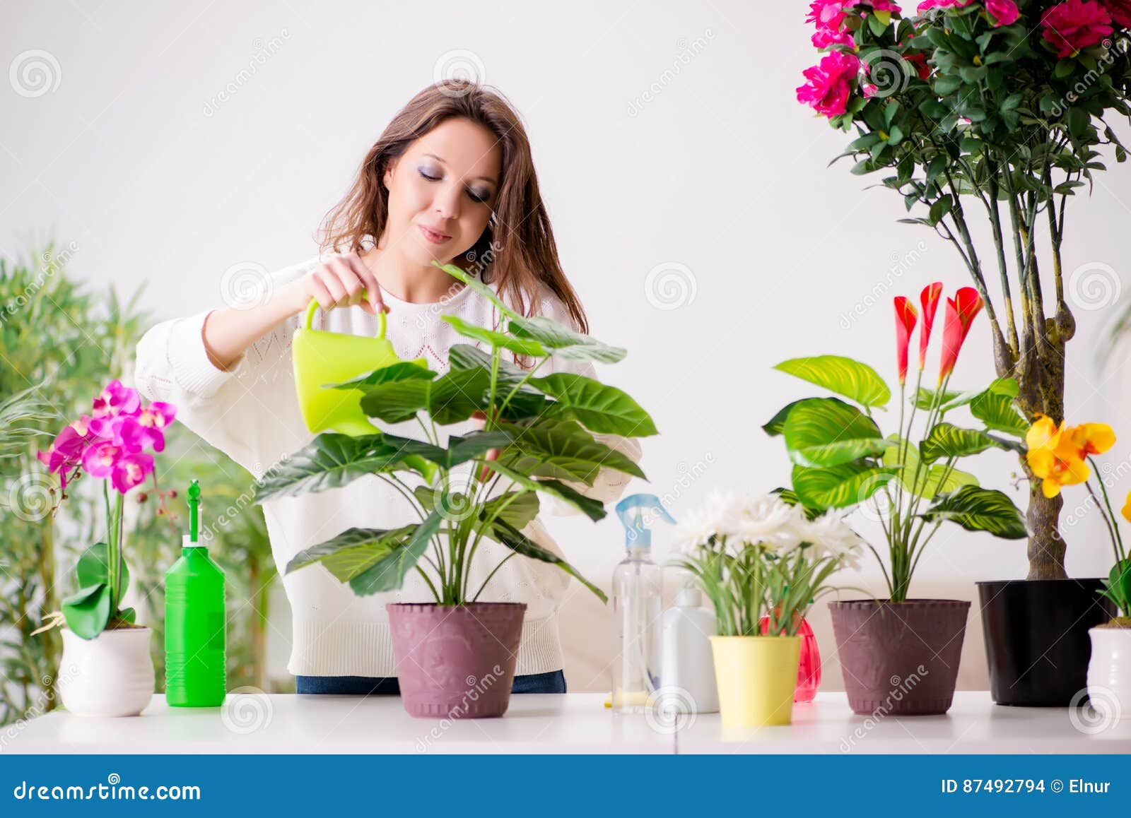 The Young Woman Looking after Plants at Home Stock Photo - Image of ...