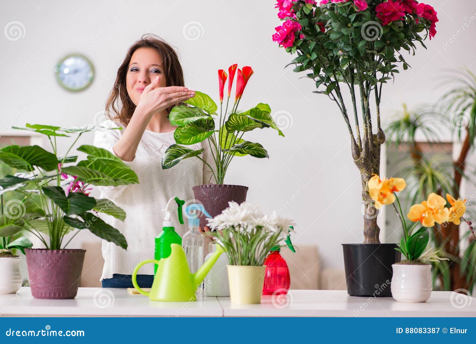 The Young Woman Looking after Plants at Home Stock Image - Image of ...