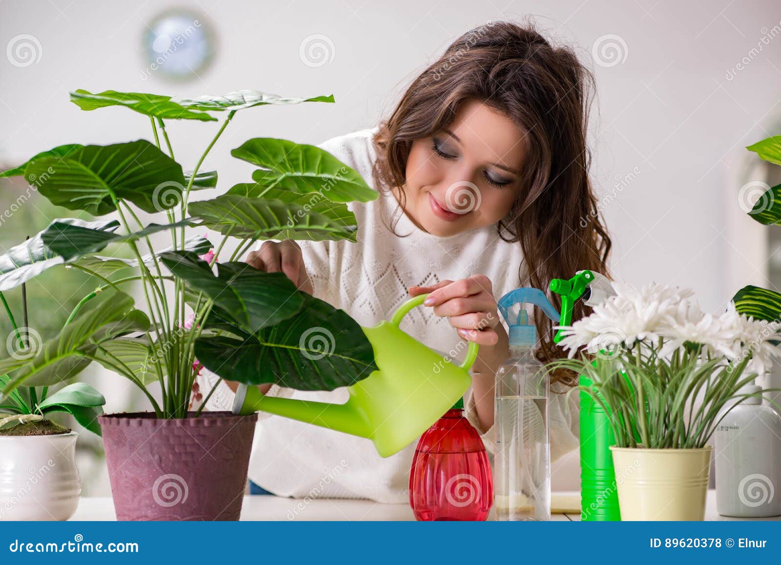 The Young Woman Looking after Plants at Home Stock Photo - Image of ...