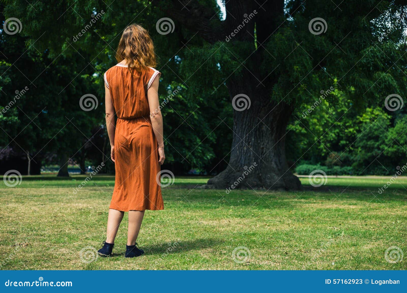 Young Woman Looking at Tree in Park Stock Image - Image of young ...