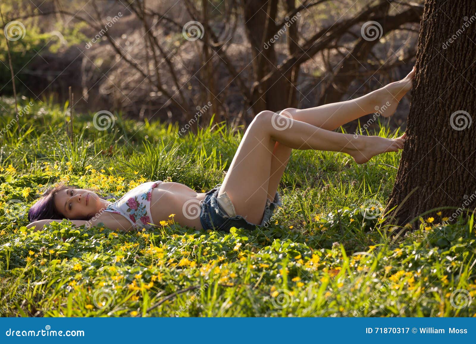 Young Woman Lying In Grass Stock Image Image Of Bare 71870317
