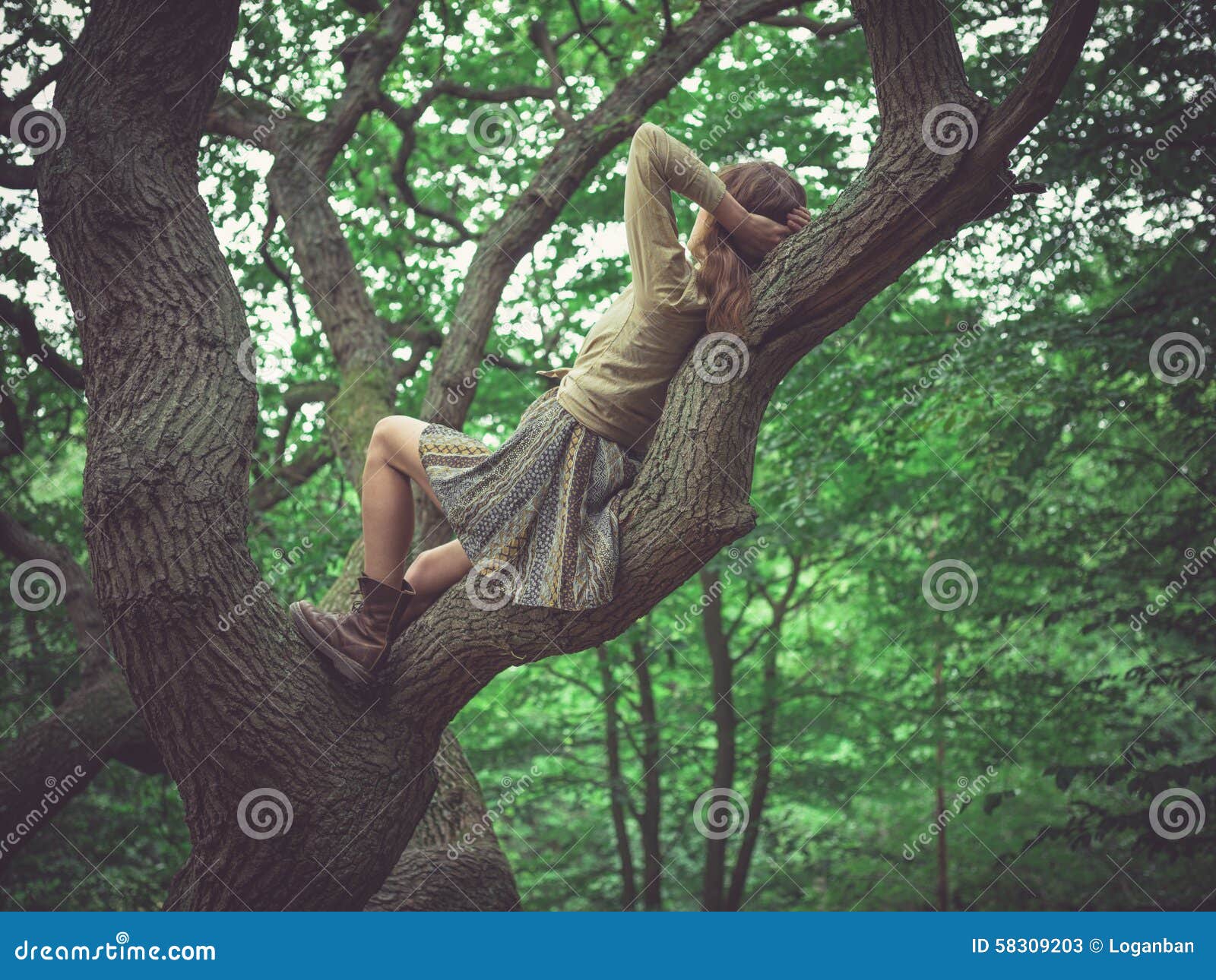 Young Woman Lying in a Tree Stock Image - Image of woman, active: 58309203
