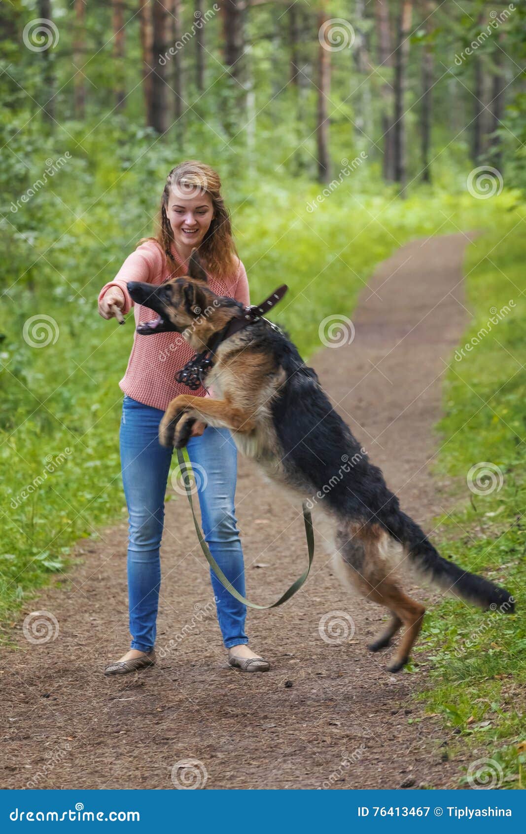 Young Woman Playing with German Shepherd Stock Image - Image of nature ...