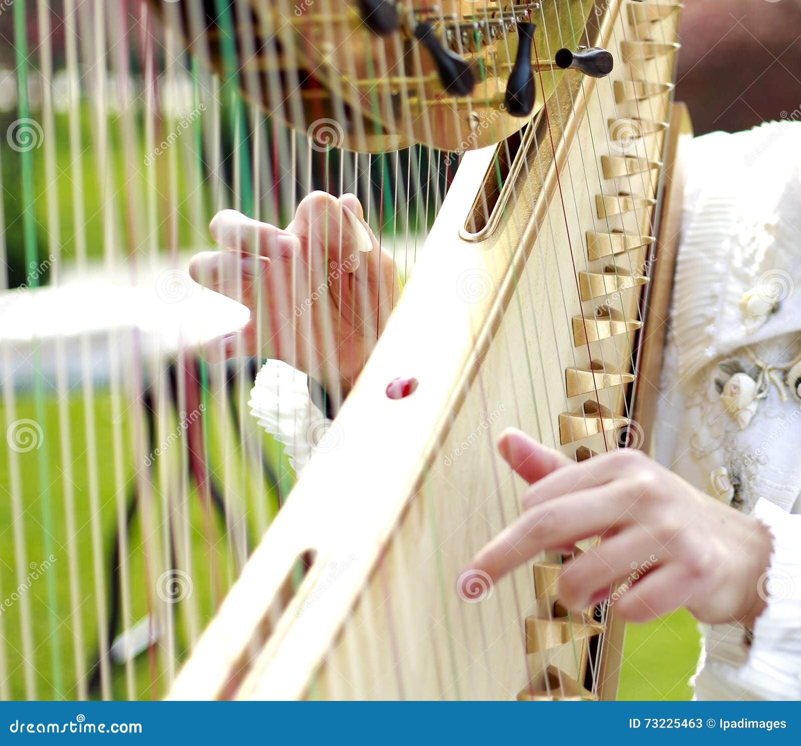 Young woman playing a harp stock image. Image of finger - 73225463