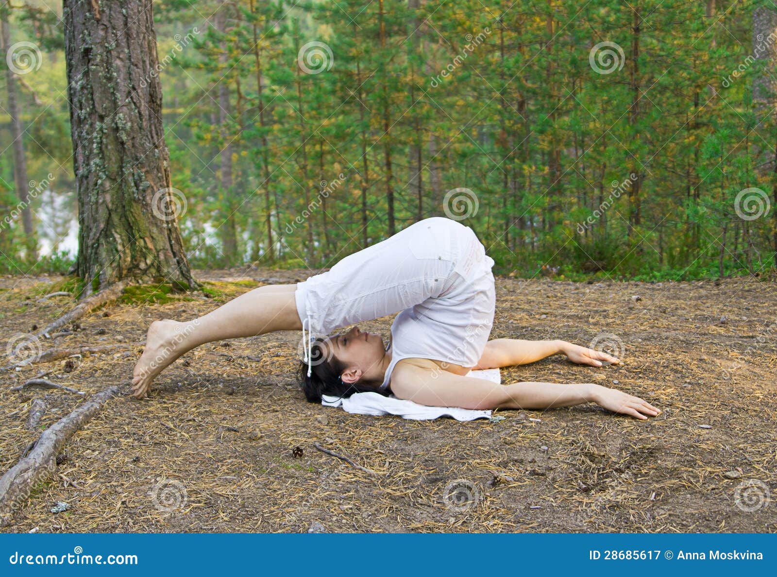Young Woman in Plough Pose in the Forest Stock Image - Image of nature ...