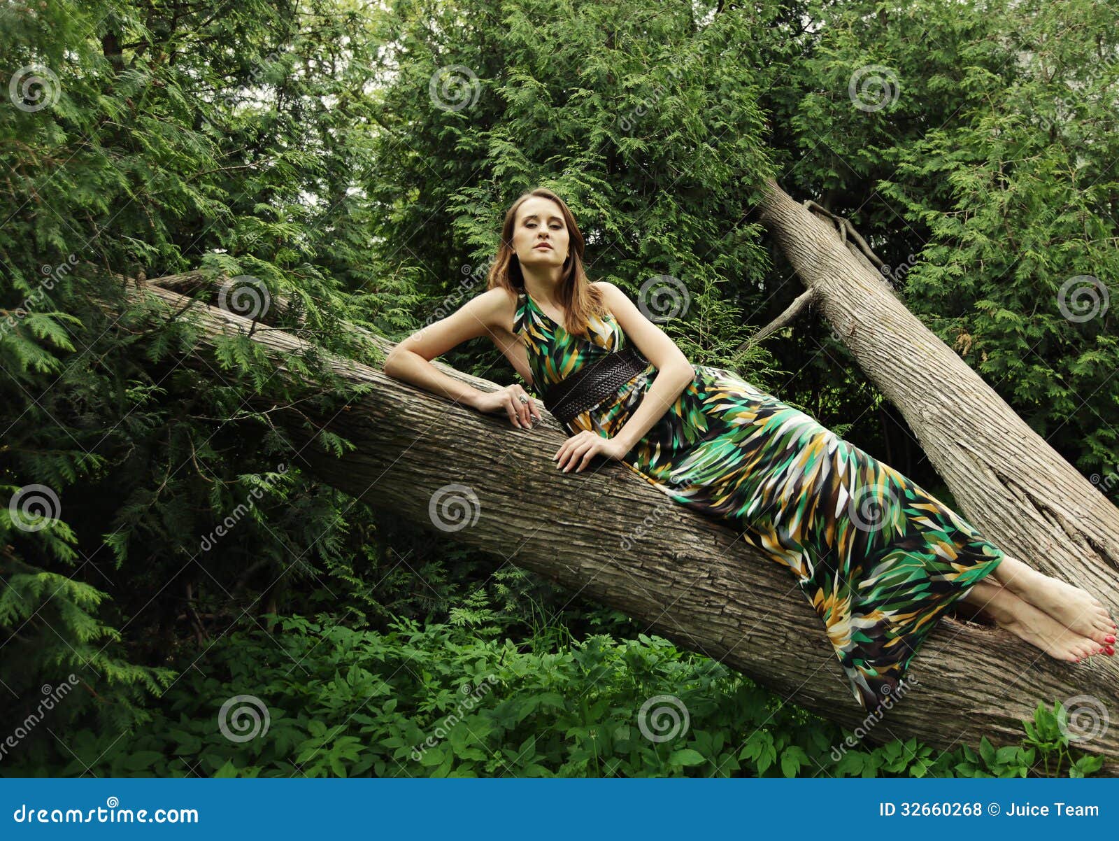 Young Woman Posing on a Tree Stock Photo - Image of glamour, freedom ...