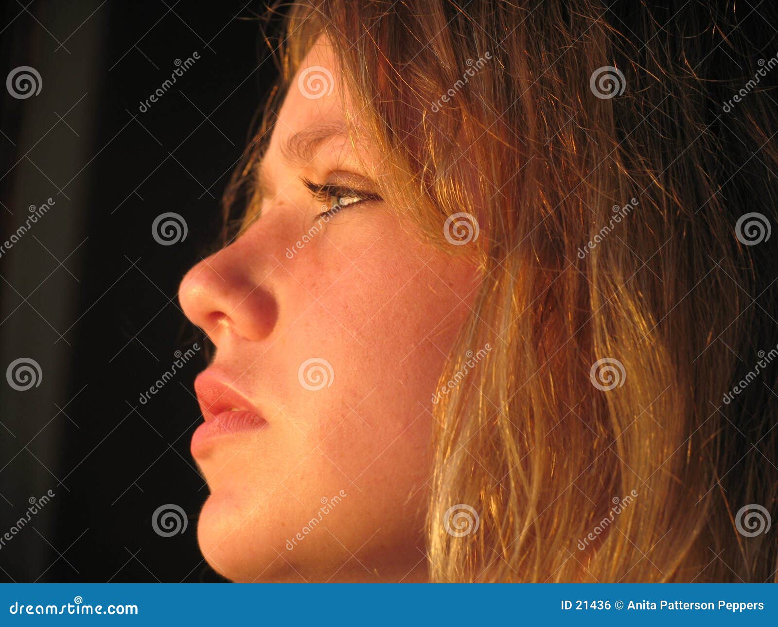 Young Woman in profile stock photo. Image of planning, future - 21436