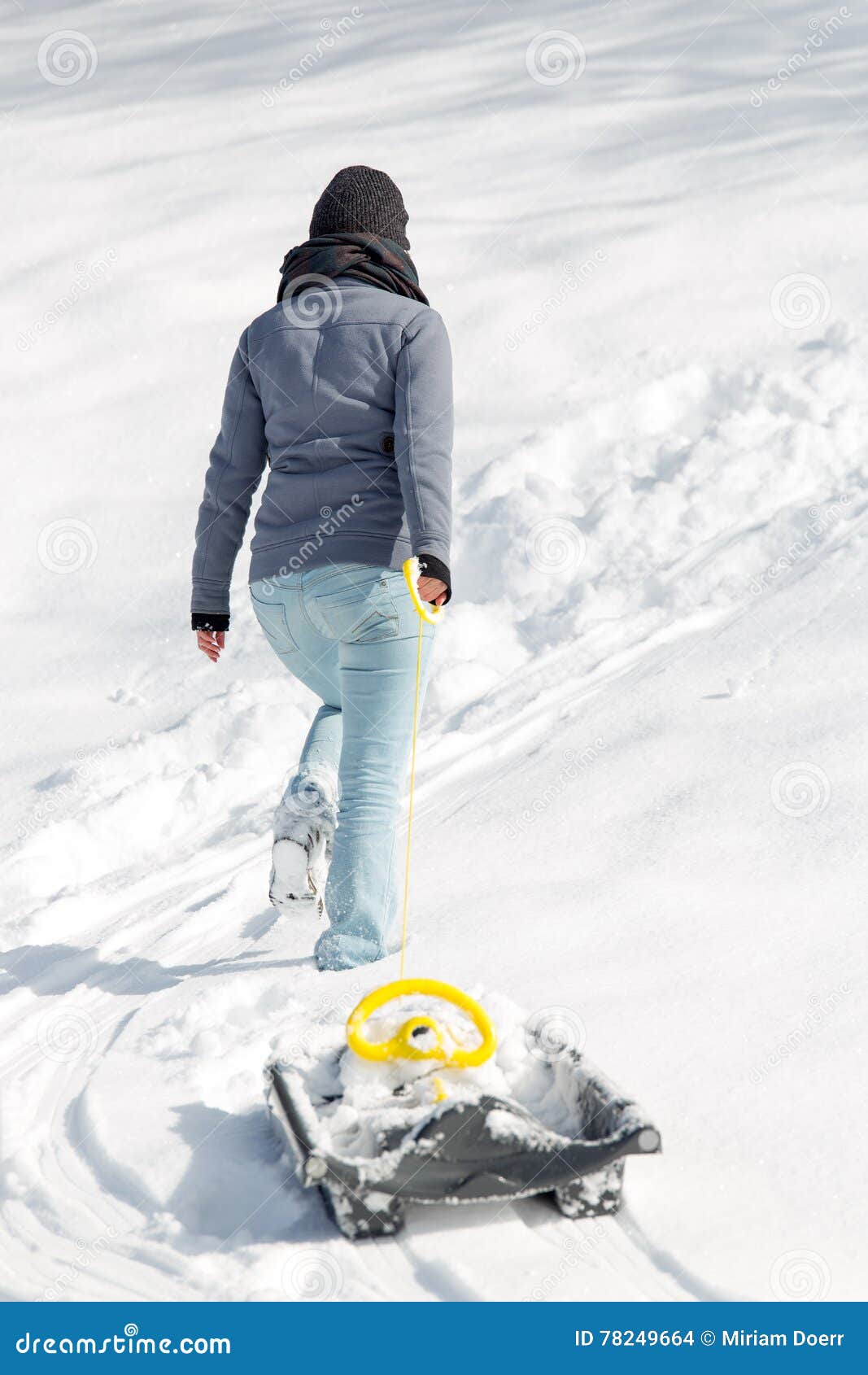 Young Woman Pulling a Sledge in the Deep Snow, Backview Stock Photo ...