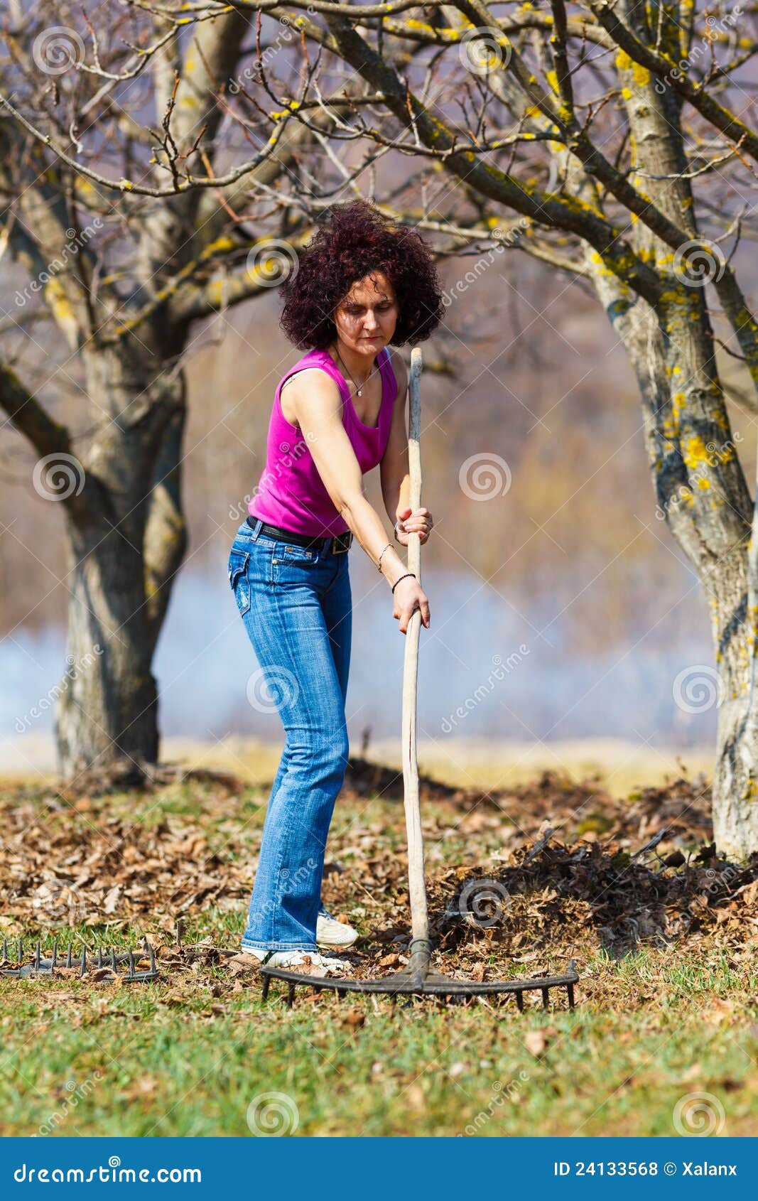 Young Woman with a Rake in an Orchard Stock Photo - Image of jeans ...