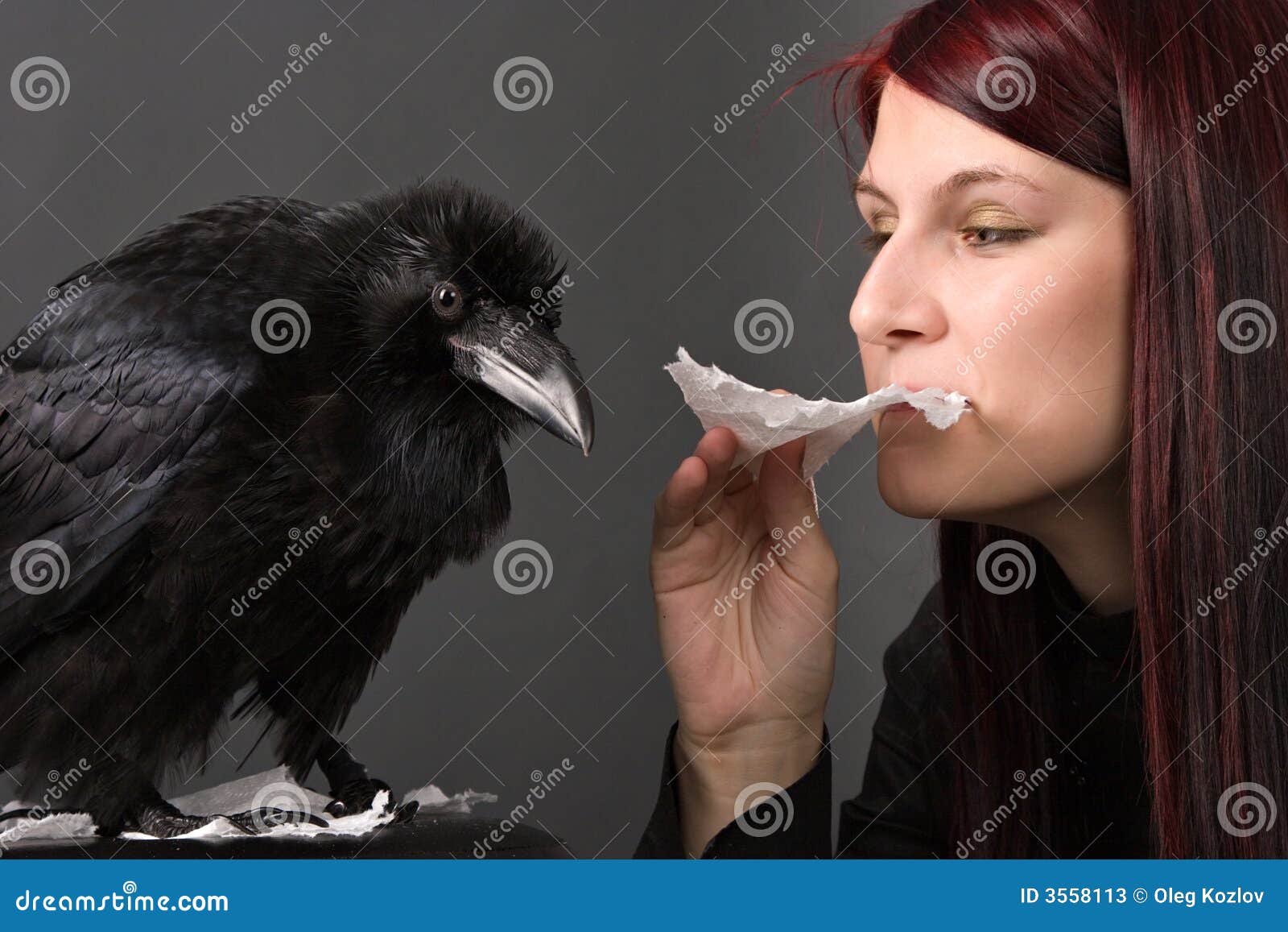 Young woman with raven stock image. Image of fairy, girls - 3558113