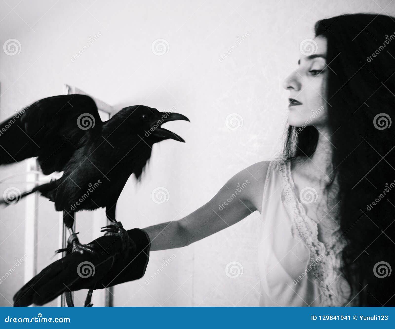 Young woman with raven stock image. Image of beauty - 129841941