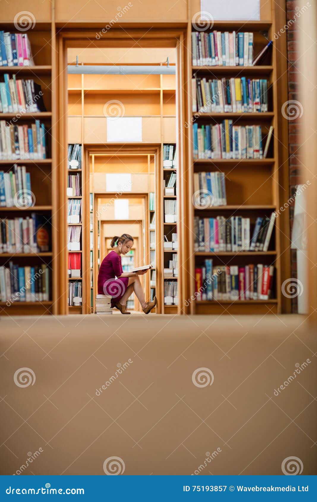 Young Woman Reading Book in Library Stock Image - Image of education ...