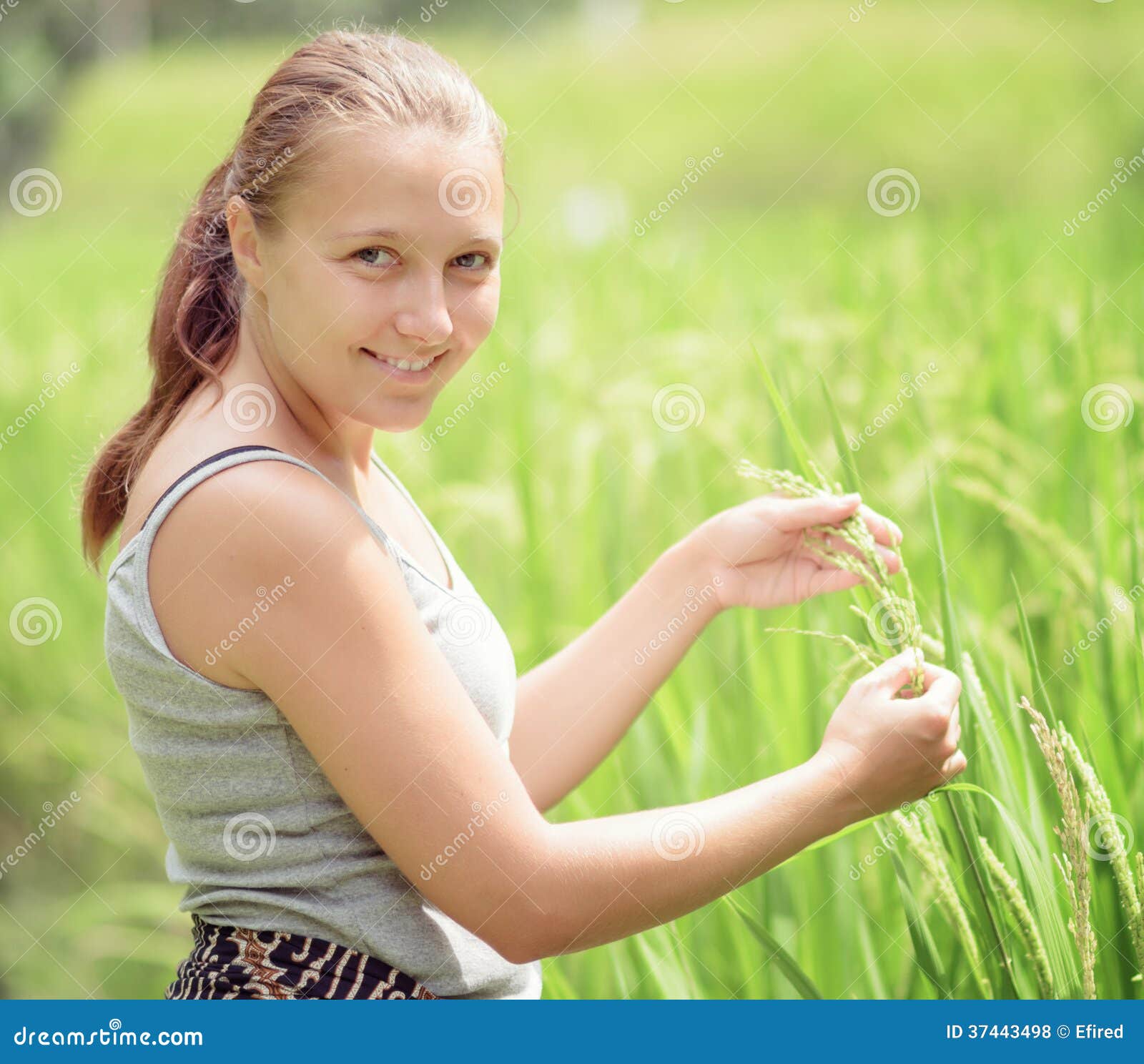 Young woman in rice field stock photo. Image of field - 37443498