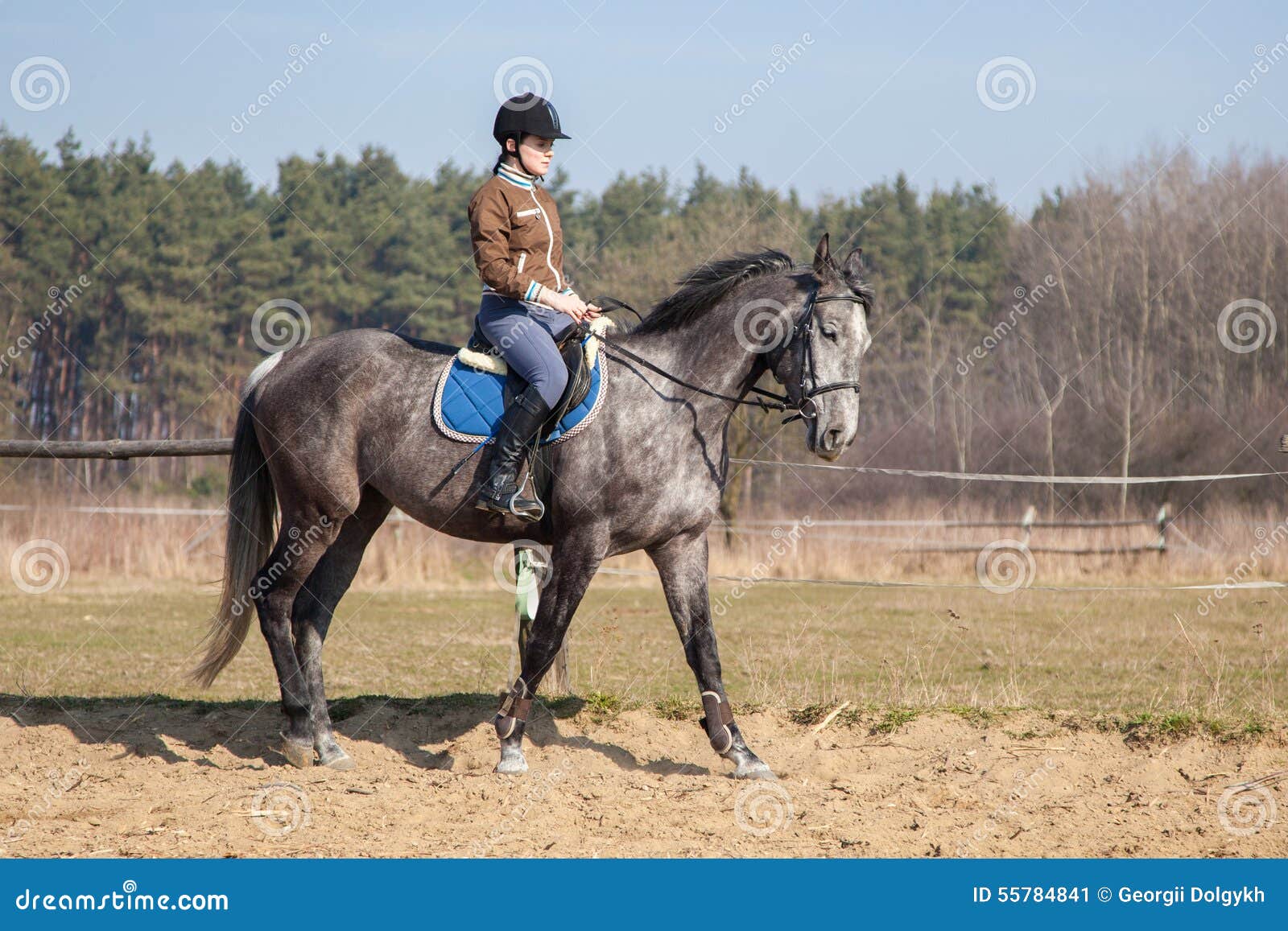 Young woman riding a horse stock image. Image of girl - 55784841