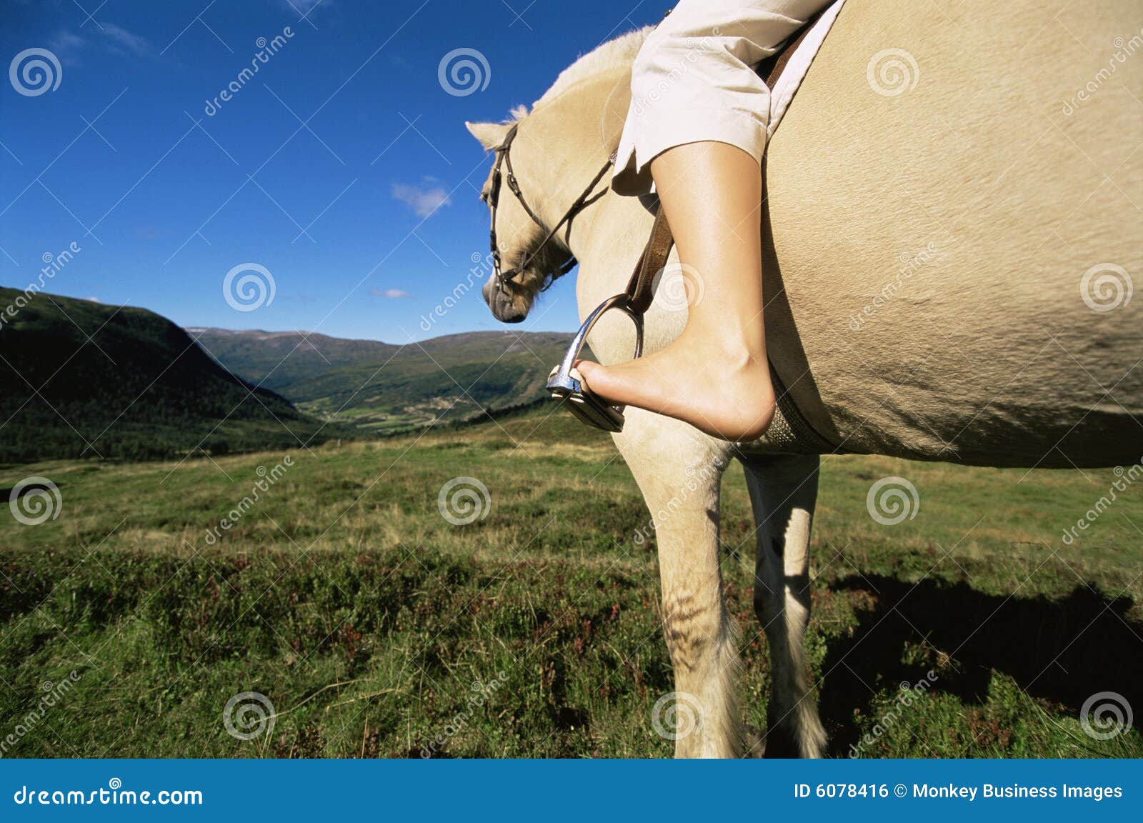 Young Woman Riding Horse in Rural Setting Stock Photo - Image of bridle ...