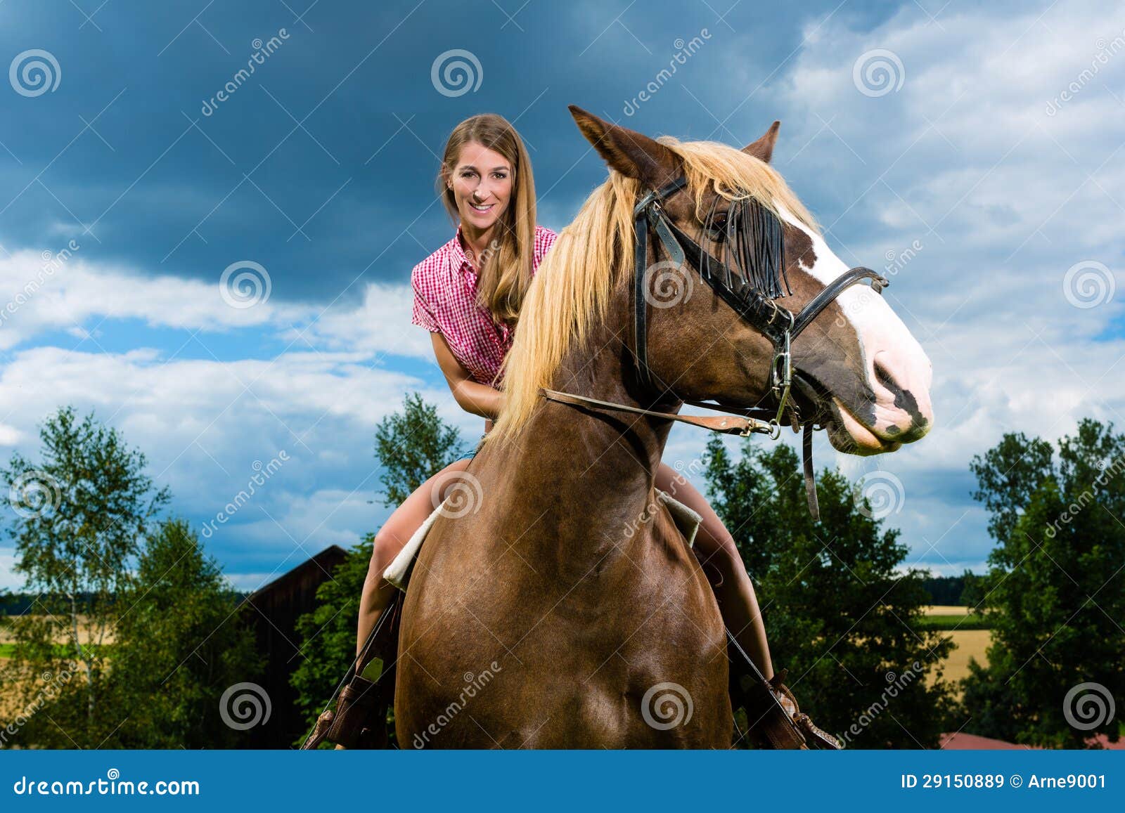 Young Woman Riding the Horses on the Meadow Stock Image - Image of ...