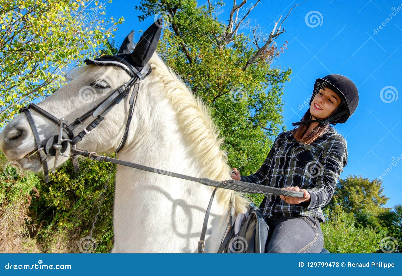 Young Woman Riding White Horse Stock Photo - Image of equine, beautiful ...