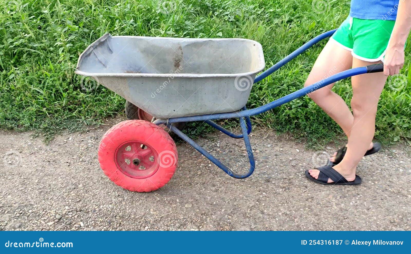 Young Woman Roll a Wheelbarrow in the Countryside Stock Video - Video ...