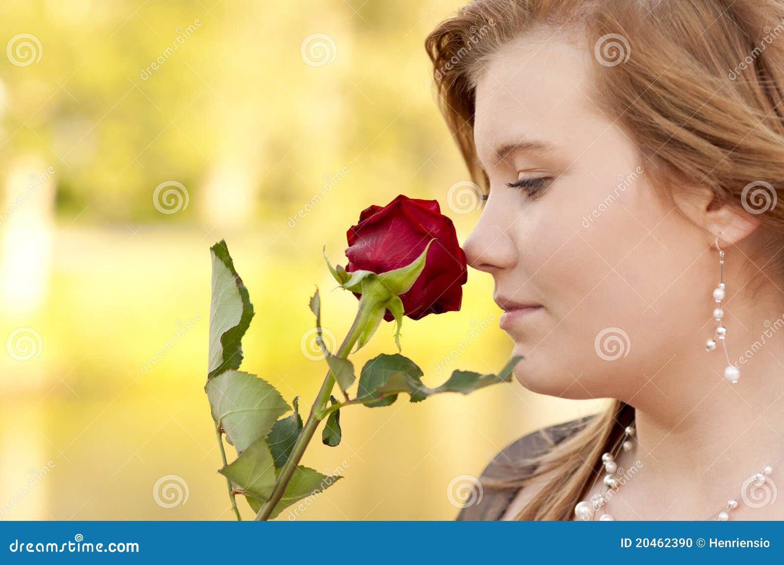 Young woman with a rose stock photo. Image of beauty - 20462390