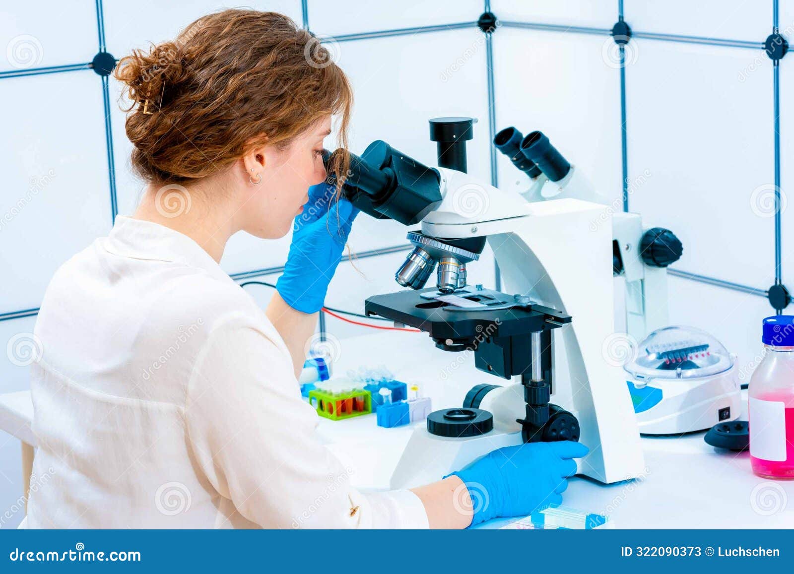 Young Woman Scientists Working with Microscope in Microbiology ...