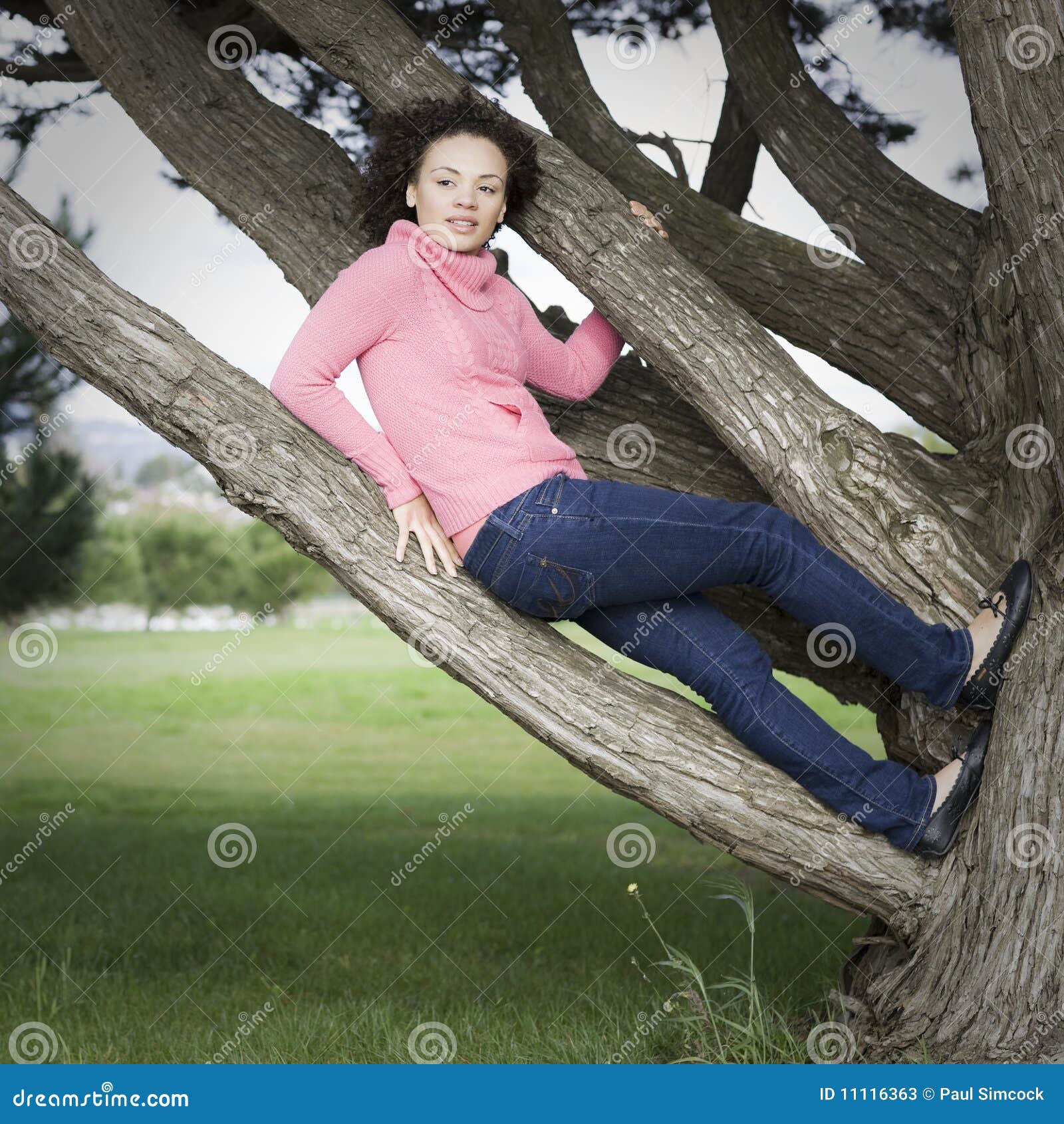 Young Woman Sitting in Tree Stock Image - Image of leisure, outside ...