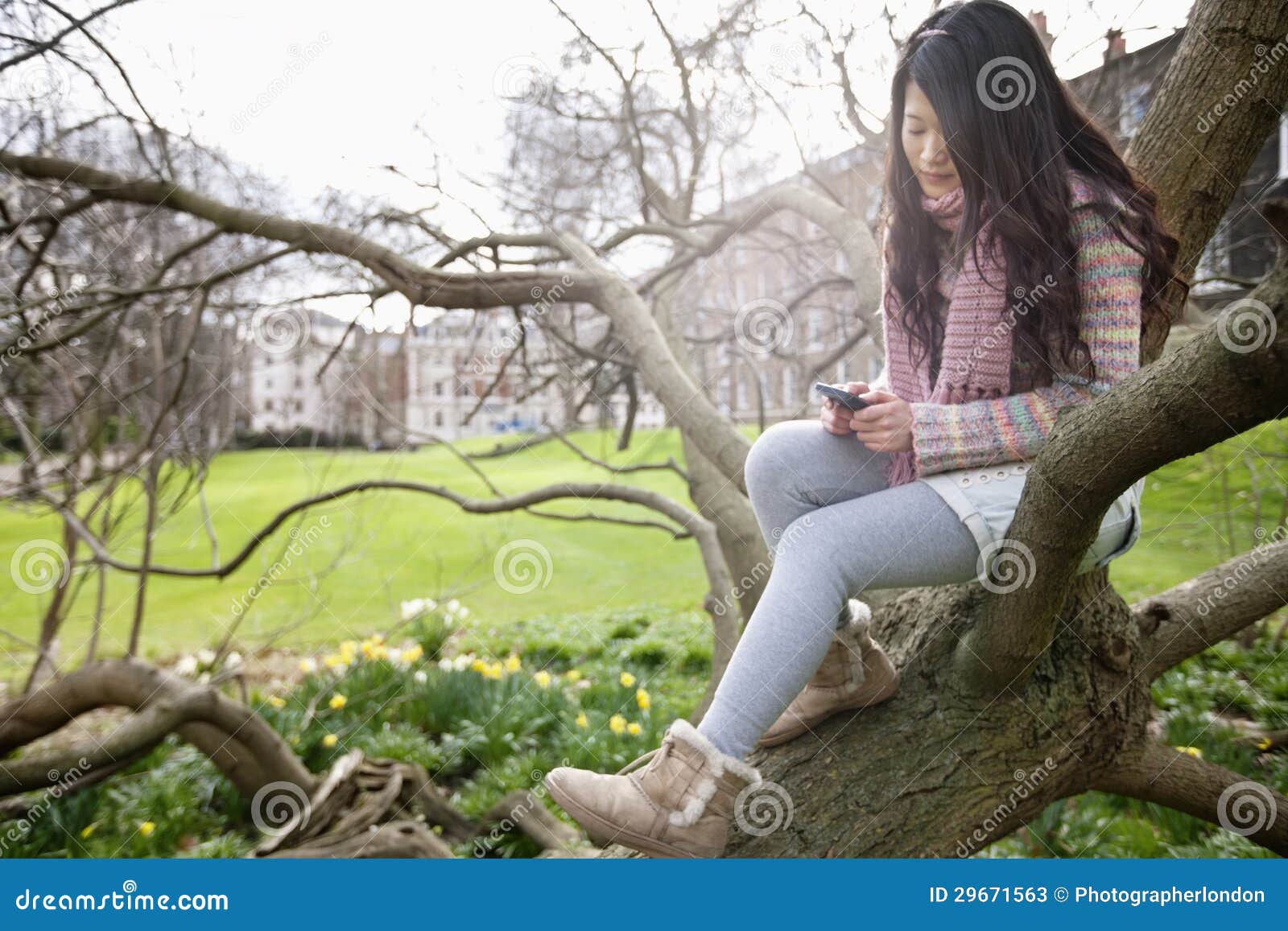 Young Woman Sitting on Tree Branch while Text Messaging Stock Image ...