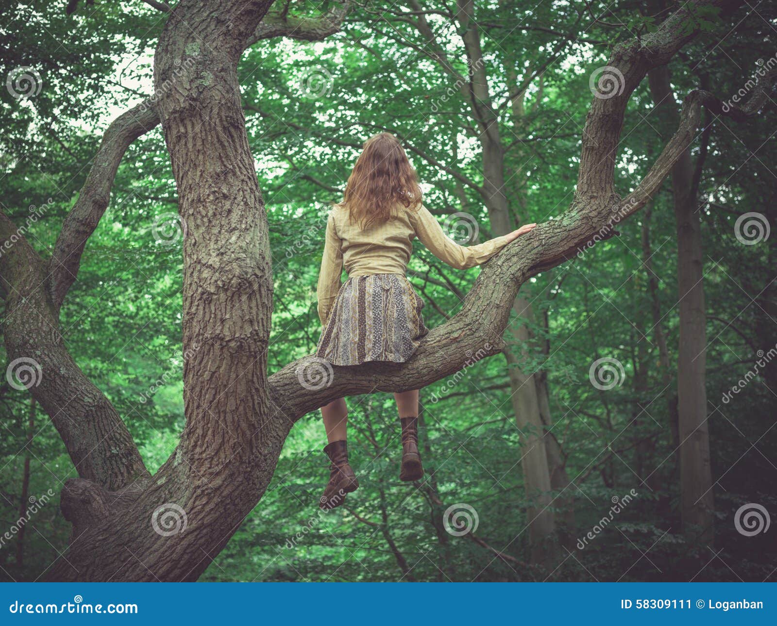 Young Woman Sitting in Tree in the Forest Stock Image - Image of summer ...