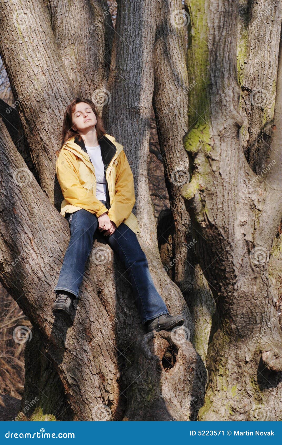 Young Woman Sitting on Tree and Relaxing Stock Image - Image of person ...