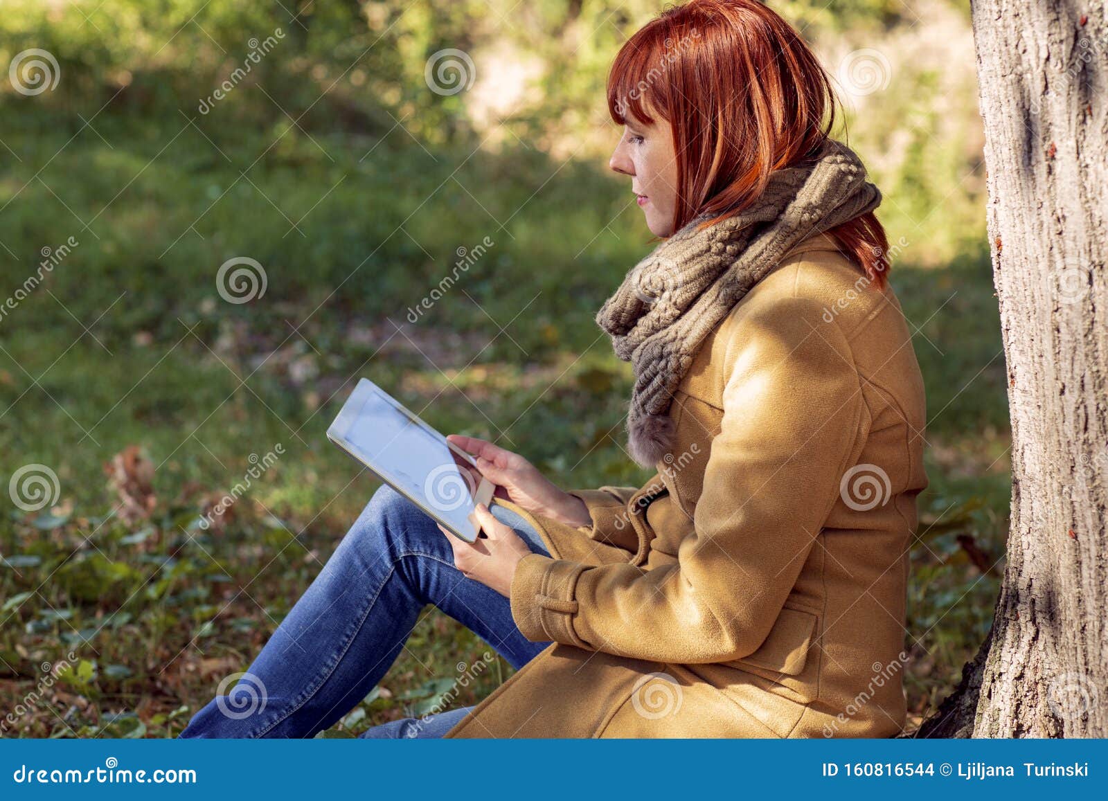 Woman Sitting Under a Tree in Autumn Park with Tablet Stock Photo ...