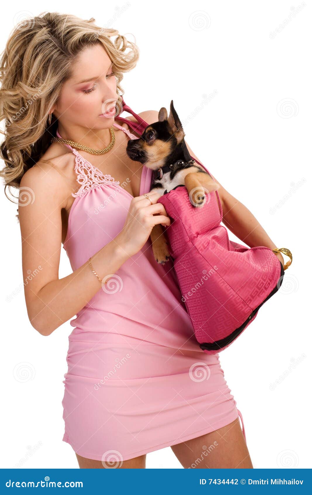 Young Woman with a Small Dog Stock Photo - Image of glamour, makeup ...