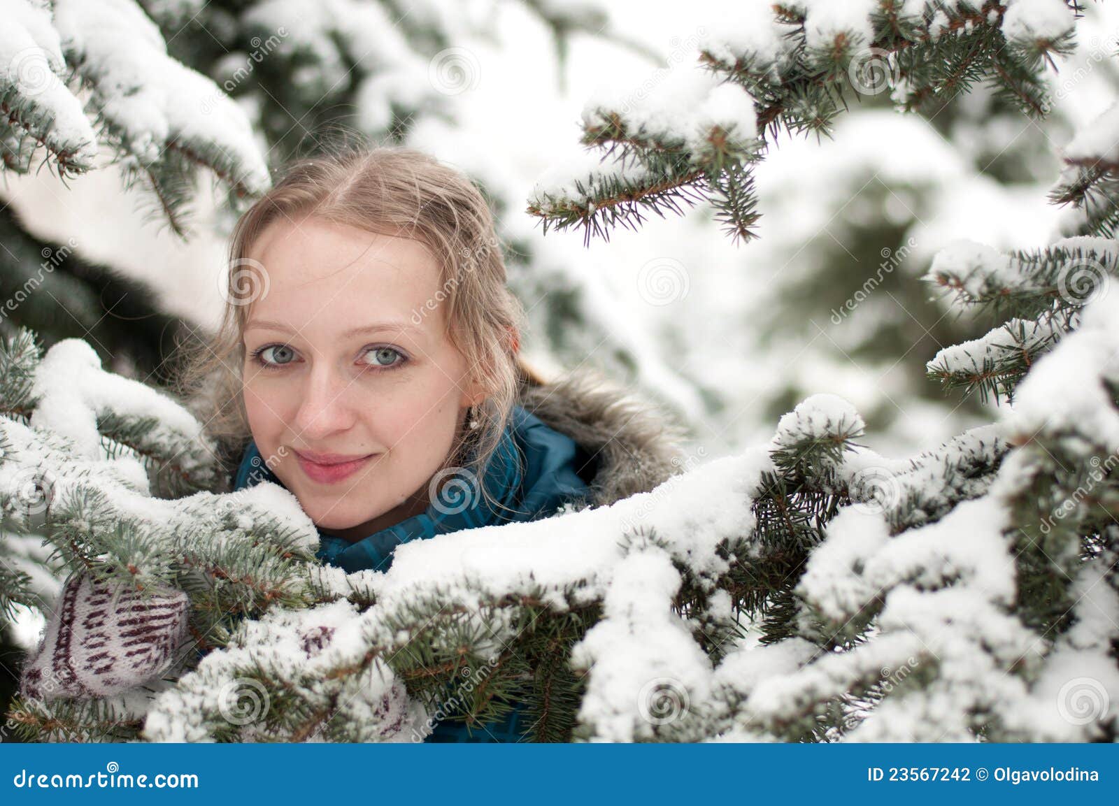 Young Woman in Snow-covered Spruce Forest Stock Photo - Image of pine ...