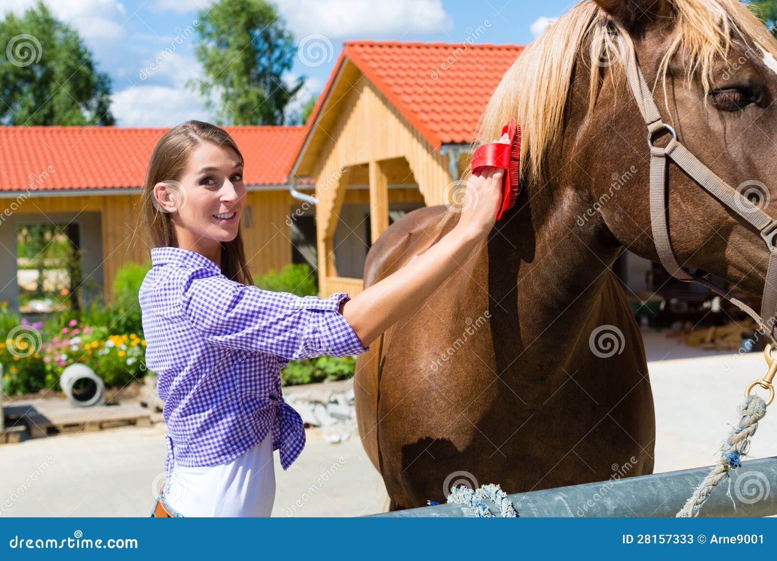 Young Woman in the Stable with Horse Stock Image - Image of pony ...