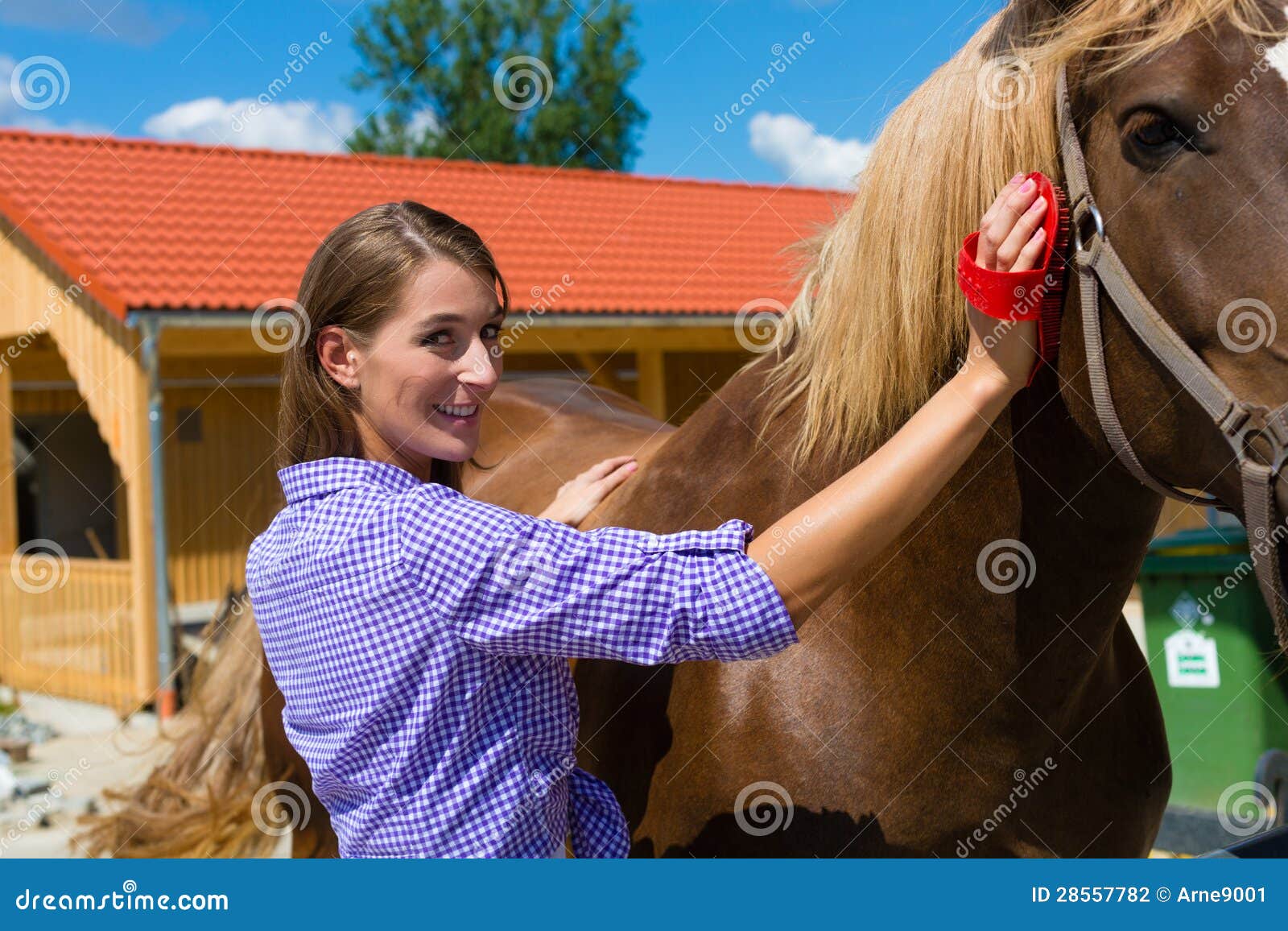 Young Woman in the Stable with Horse Stock Photo - Image of filly ...